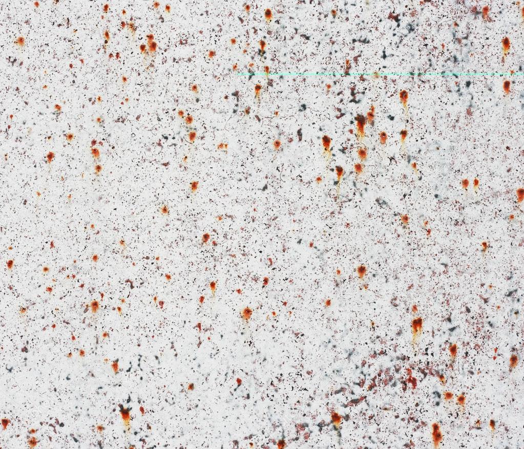 White Paint For Rusty Metal at Brendan Gates blog