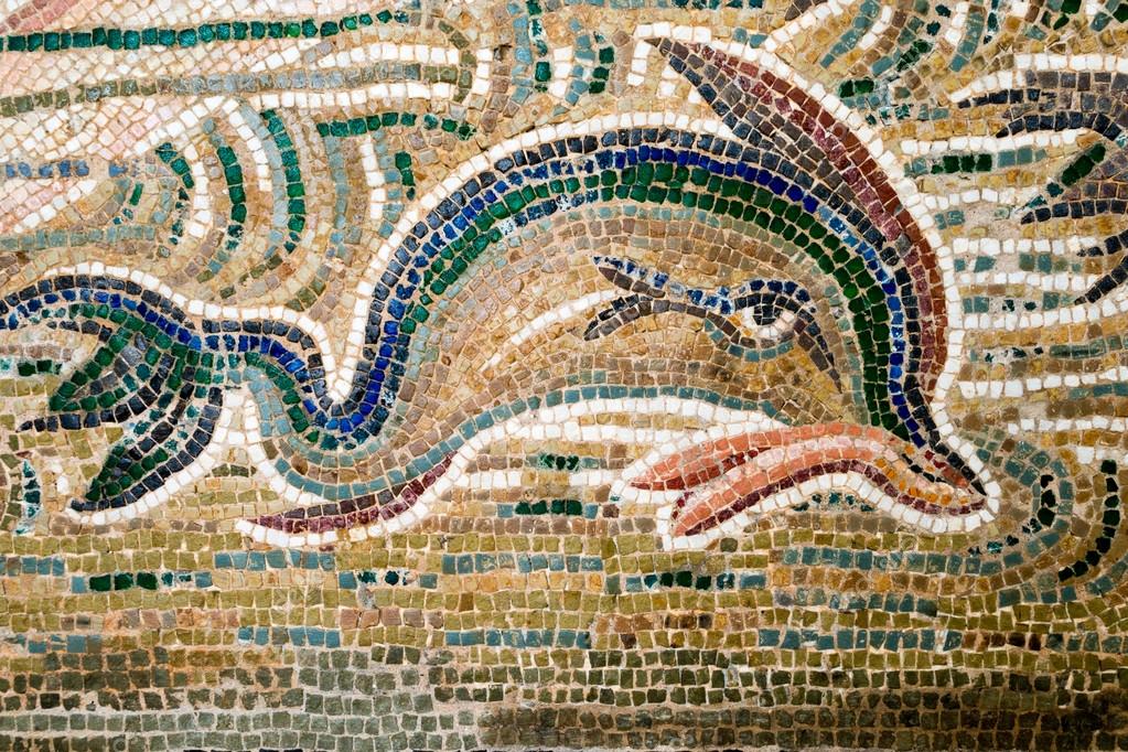 Dolphin Ancient Roman Mosaics Pompeii