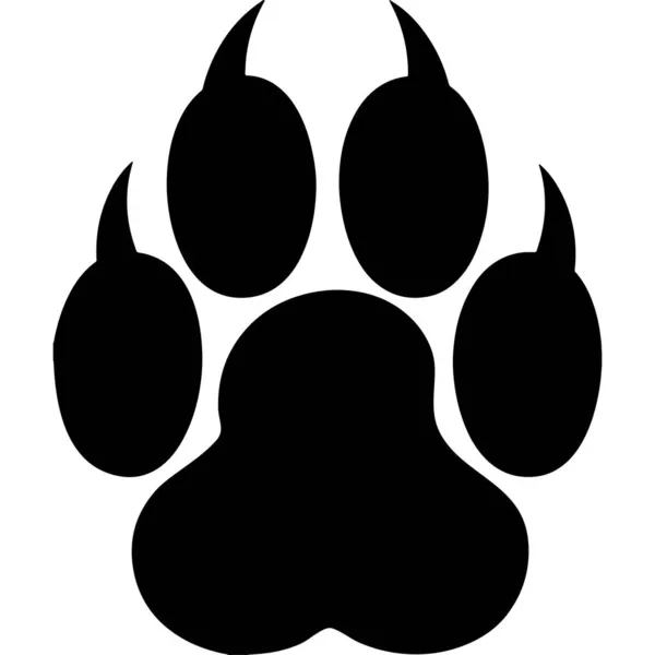 Cougar foot Stock Photos, Royalty Free Cougar foot Images | Depositphotos