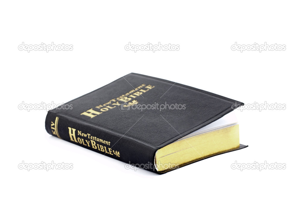 White Holy Bible Cover