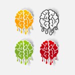 Realistic design element: brain drop Stock Vector Image by ©Palau83 ...