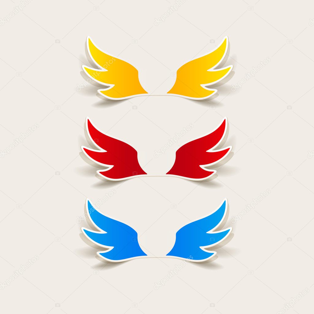 Realistic design element: wing Stock Vector by ©Palau83 41033543