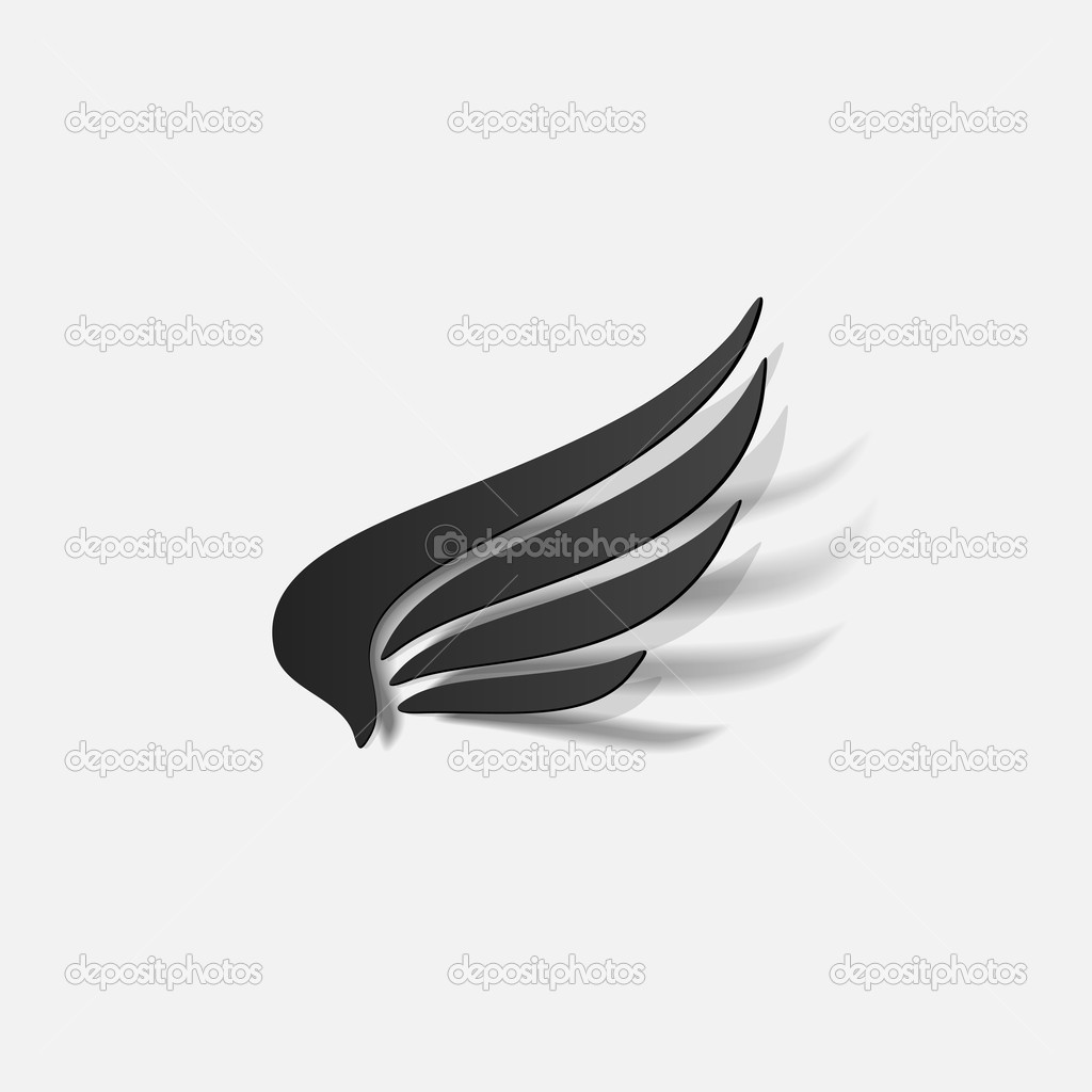 Realistic design element: wing Stock Vector Image by ©Palau83 #41208449
