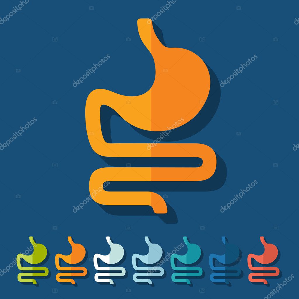 Flat design: stomach Stock Vector Image by ©Palau83 #44675369