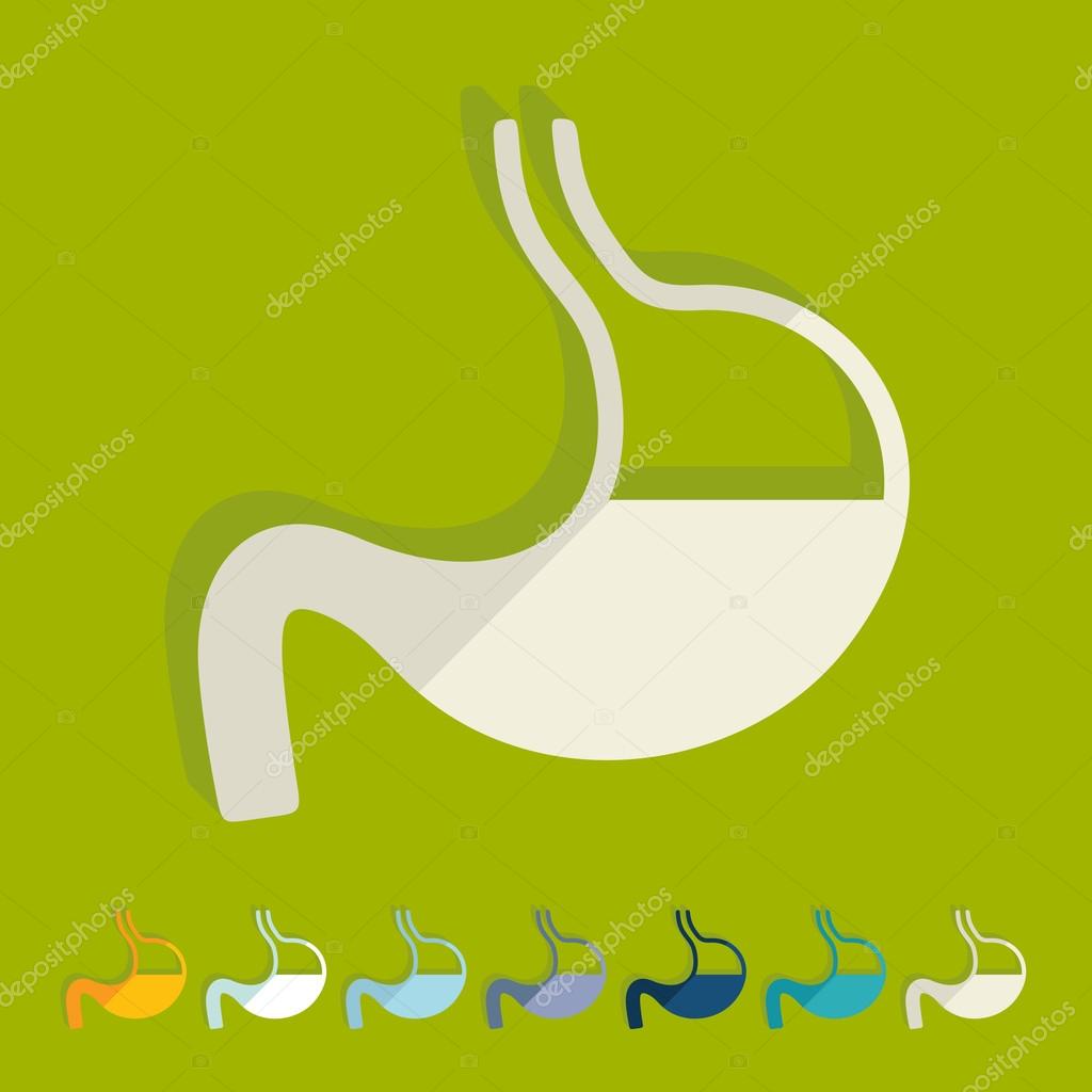 Flat design: stomach Stock Vector Image by ©Palau83 #44696511