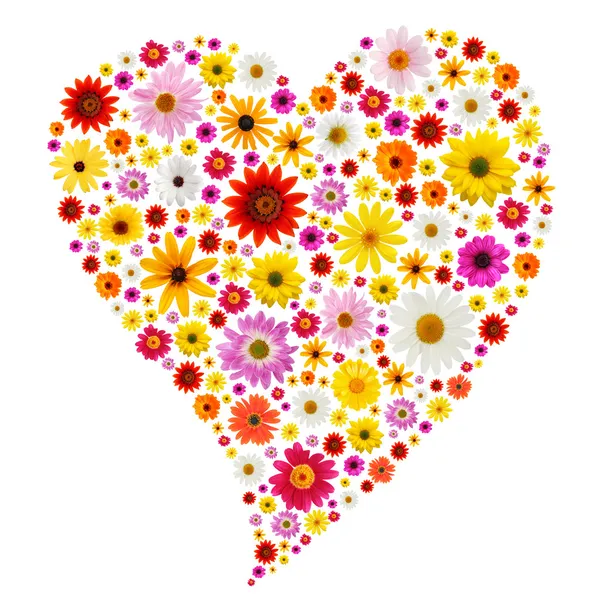 Heart in spring Stock Photos, Royalty Free Heart in spring Images ...