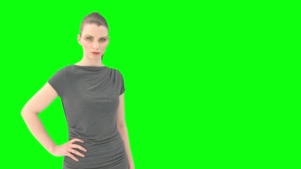 Woman with greenscreen and alpha matte — Stock Video © Sehenswerk #20306931