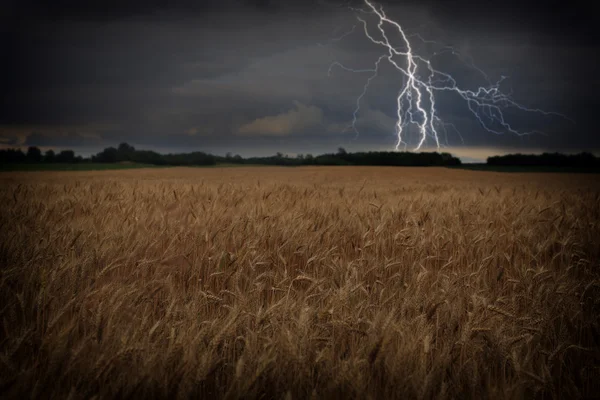 Lightning over field — Stock Photo © BalazsKovacs #30502135