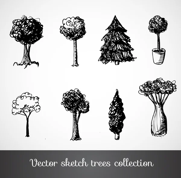 9,827 Sketch trees Vector Images | Depositphotos