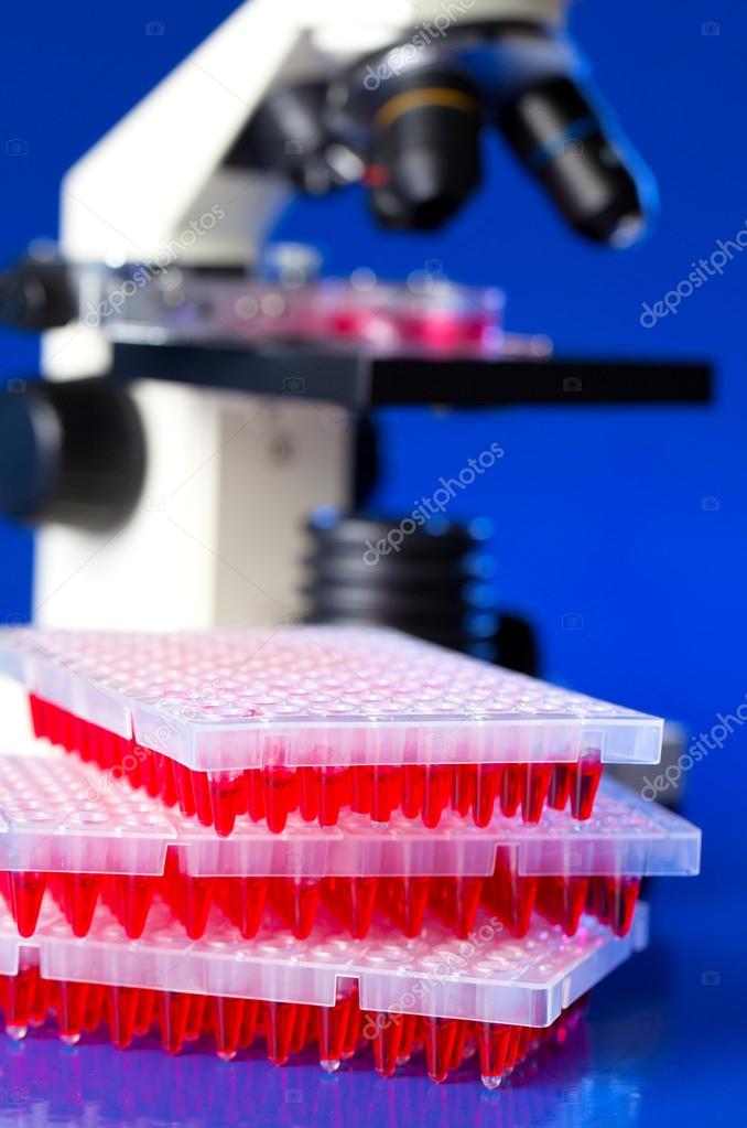 96 well plates on lab table with red liquid samples and microsco ...