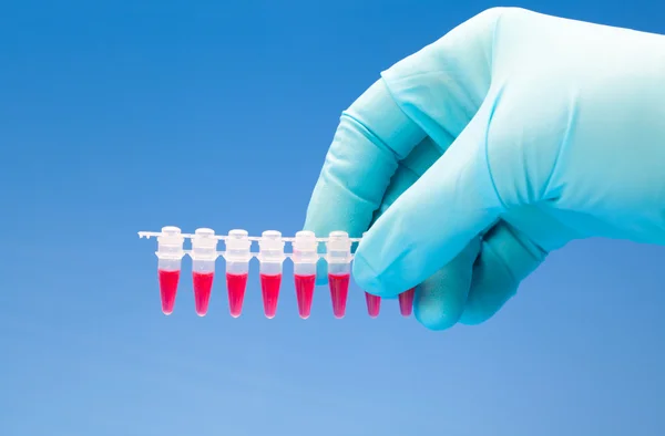 Microtubes Stock Photos, Royalty Free Microtubes Images | Depositphotos