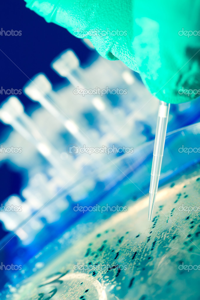 Bacterial colony picking for DNA cloning — Stock Photo © motorolka ...