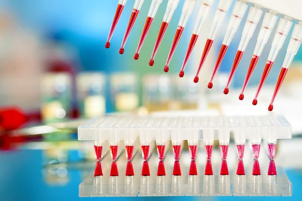 DNA samples are loaded to 96-well plate for PCR analysis - Stock Image ...