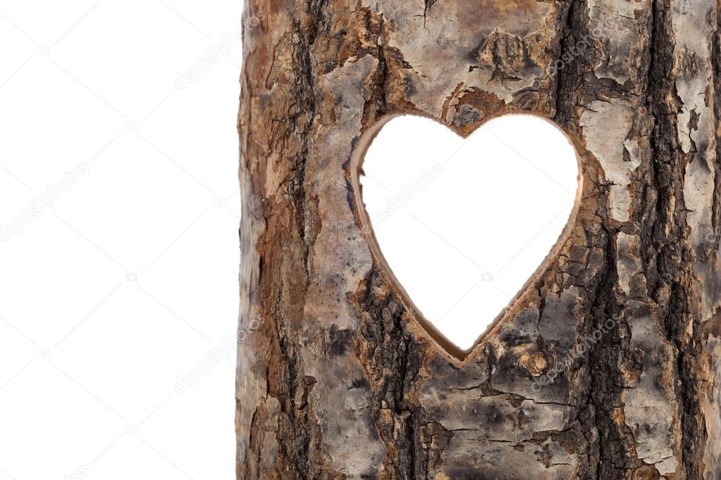 Heart cut in hollow tree trunk. on white background Stock Photo by ...