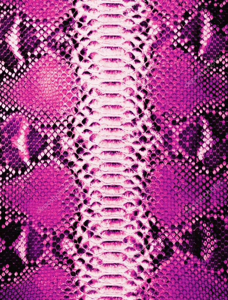 Snake skin background — Stock Photo © jolly_photo #46801107