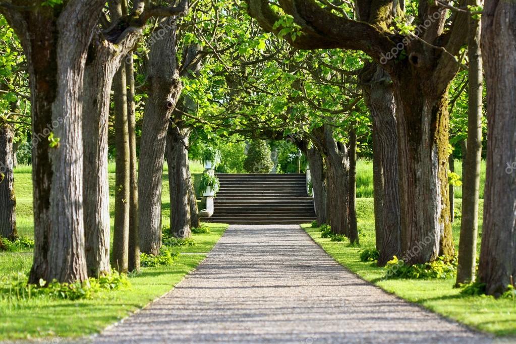 Park Path Stock Photo by ©sunworld 19994423