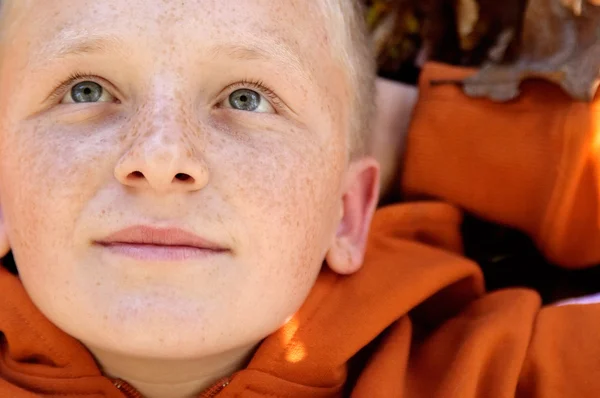 Garçon avec taches de rousseur images libres de droit, photos de Garçon ...