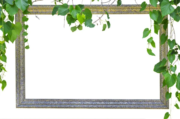 Botanical frame Stock Photos, Royalty Free Botanical frame Images ...