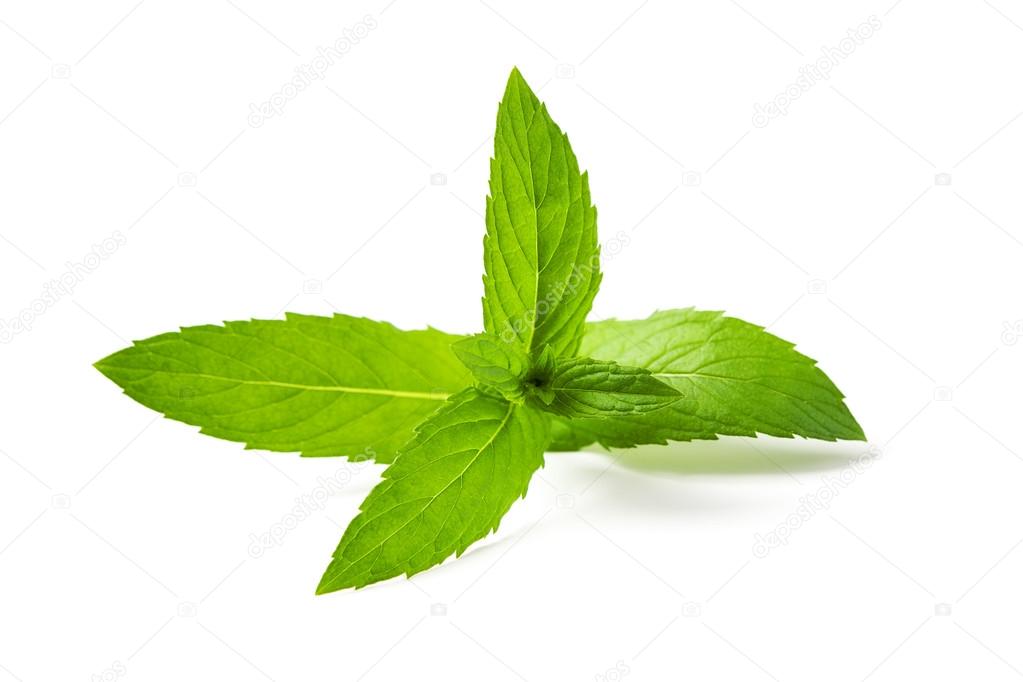 Mint Stock Photo by ©wabeno 19981673