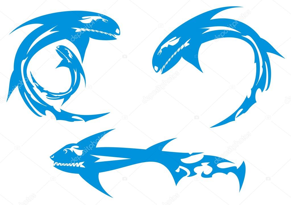 Vector blue shark Stock Vector by ©lion21 22312625