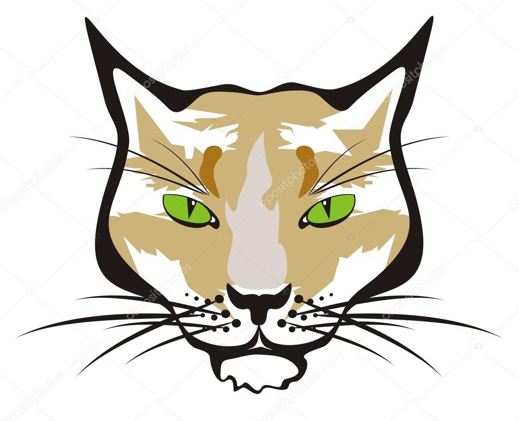 Cat head Stock Vector Image by ©lion21 #24542699
