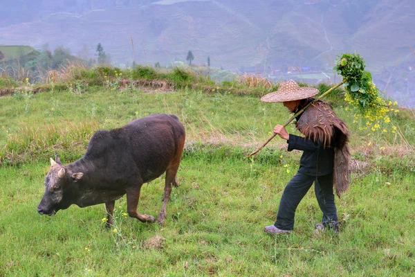 Chinese peasant shepherd wearing cloak an animal skin, rural China ...