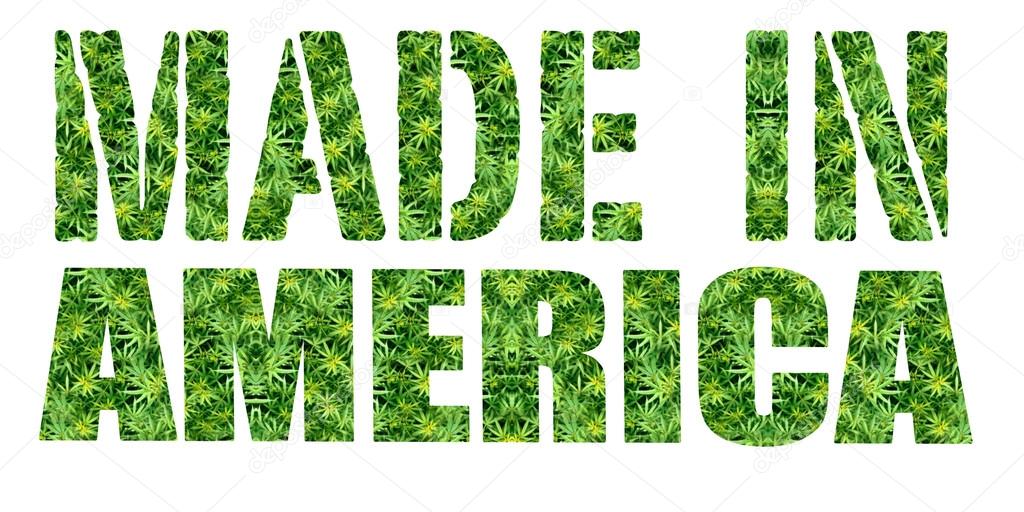 Marijuana Made in America — Stock Photo © jeremyn #21387393