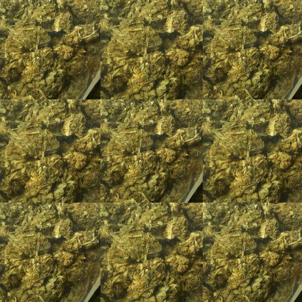 420 Stock Photos, Royalty Free 420 Images | Depositphotos