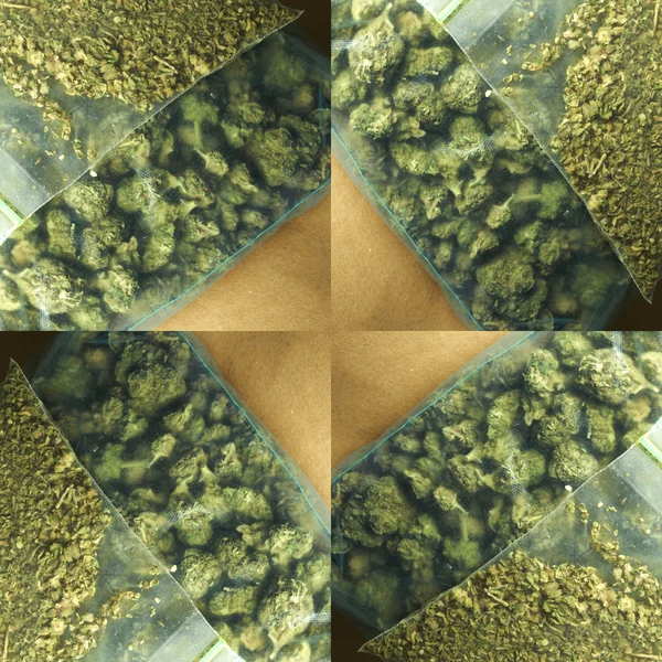 Marijuana process Stock Photos, Royalty Free Marijuana process Images ...