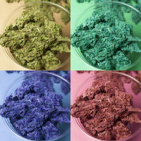 Fotos de Sortimento aromático, Imagens de Sortimento aromático sem ...