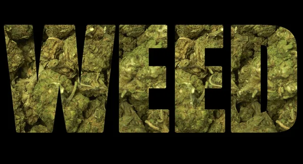 Weed definition htm t fotos de stock, imágenes de Weed definition htm t ...