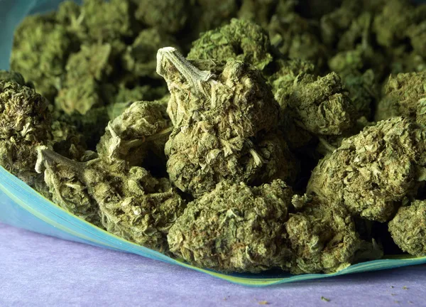 Marijuana leaf background Stock Photos, Royalty Free Marijuana leaf ...