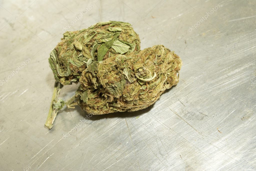 Marijuana — Stock Photo © jeremyn #42631805