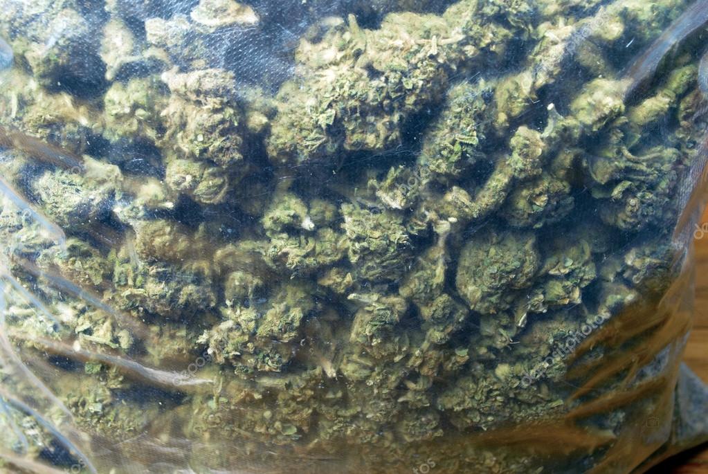 Marijuana — Stock Photo © jeremyn #42632951