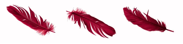 Red indian arrows Stock Photos, Royalty Free Red indian arrows Images ...