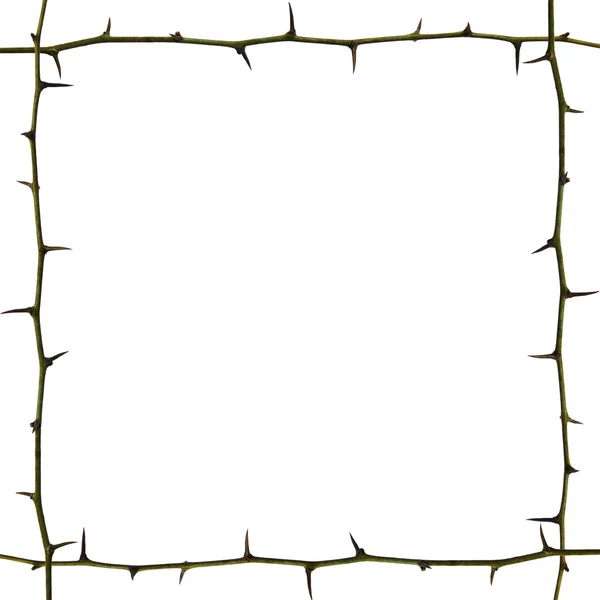 Thorn border Stock Photos, Royalty Free Thorn border Images | Depositphotos