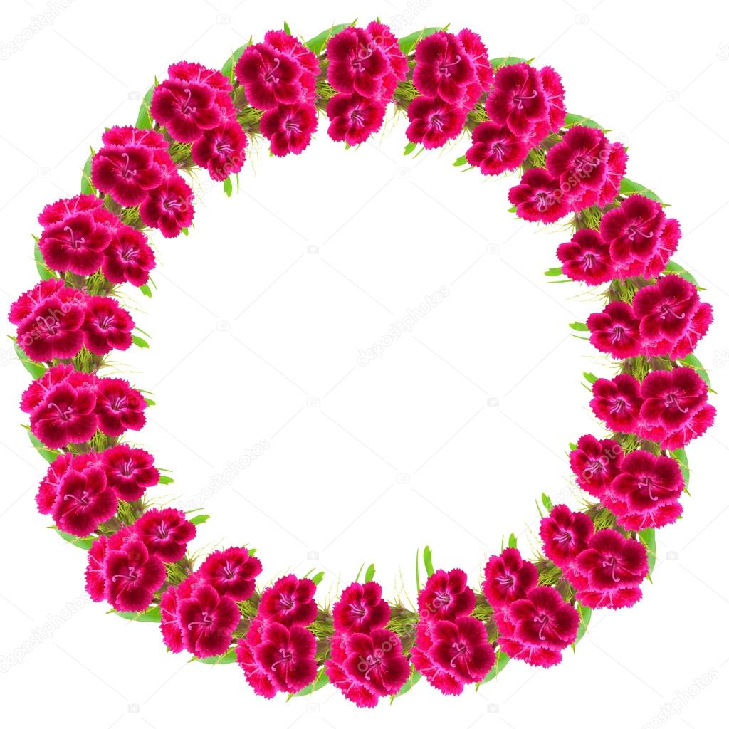 Circle frame of pink flowers Stock Photo by ©jekaterina.k 28174273