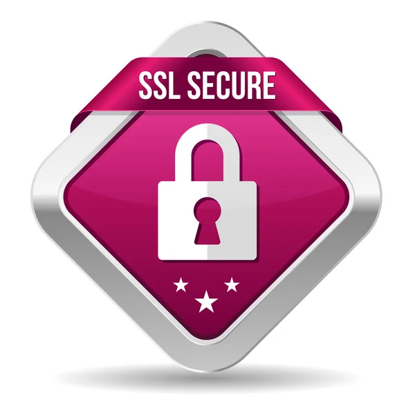 Ssl transaction Vector Art Stock Images | Depositphotos