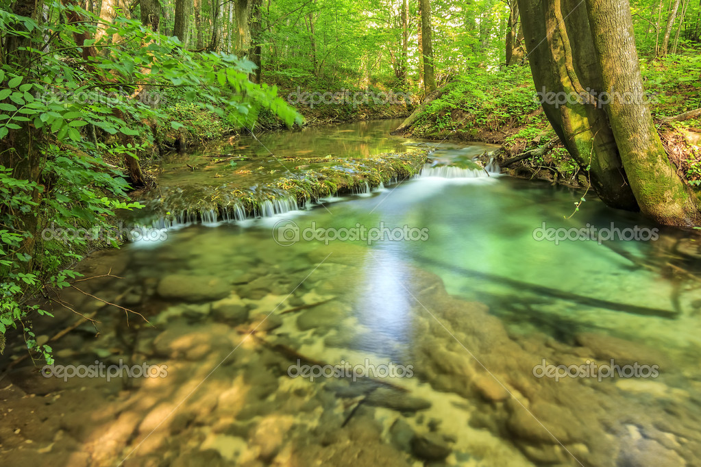 Río limpio y cascada en el bosque 2023