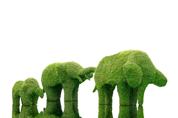 Large tree elephant Stock Photos, Royalty Free Large tree elephant ...