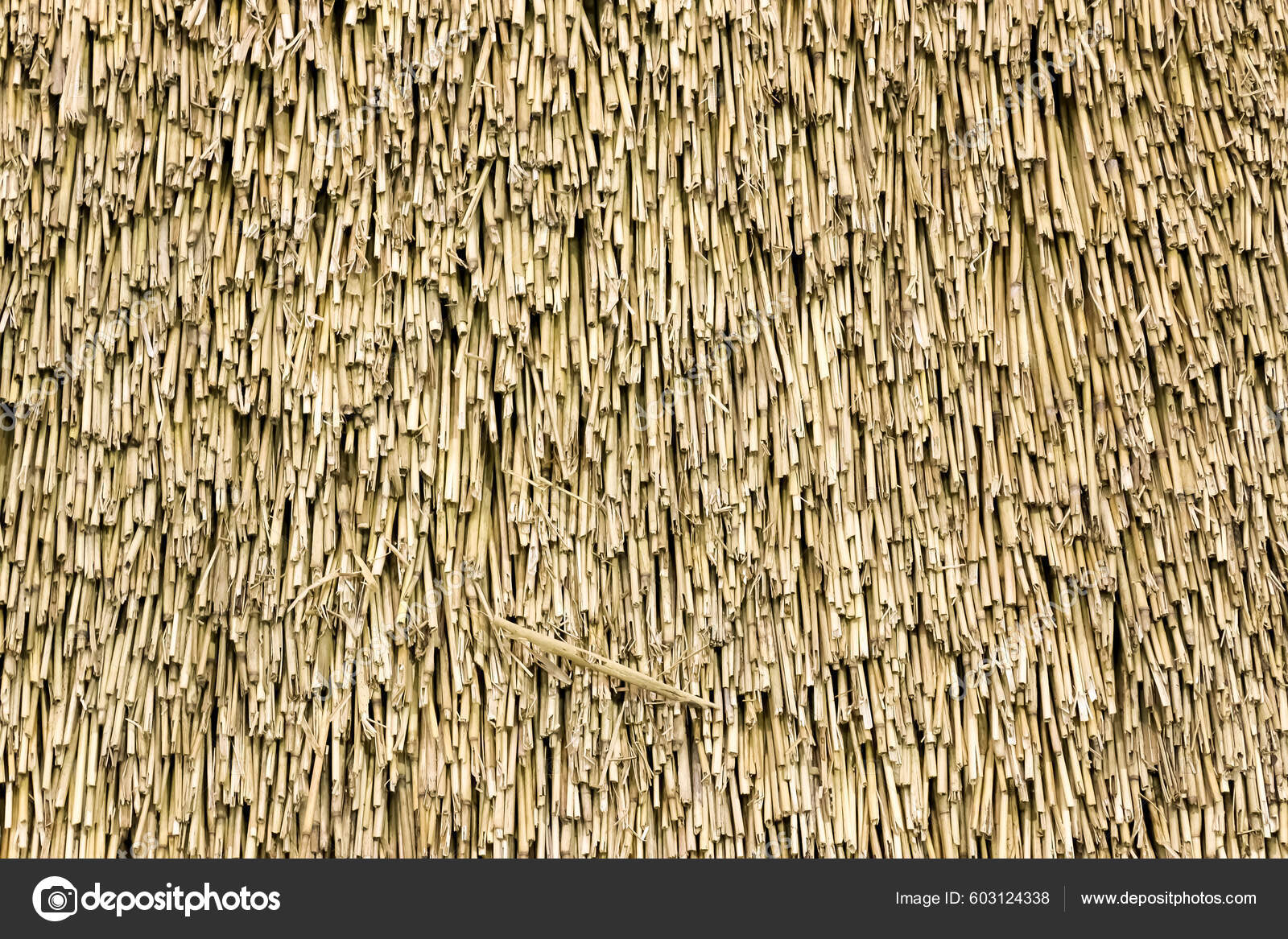 Close View Surface Golden Straw — Stock Photo © MP_foto71 #603124338
