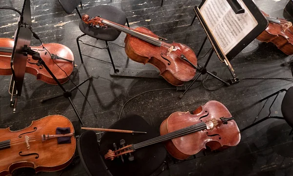 Studio orchestra Stock Photos, Royalty Free Studio orchestra Images ...