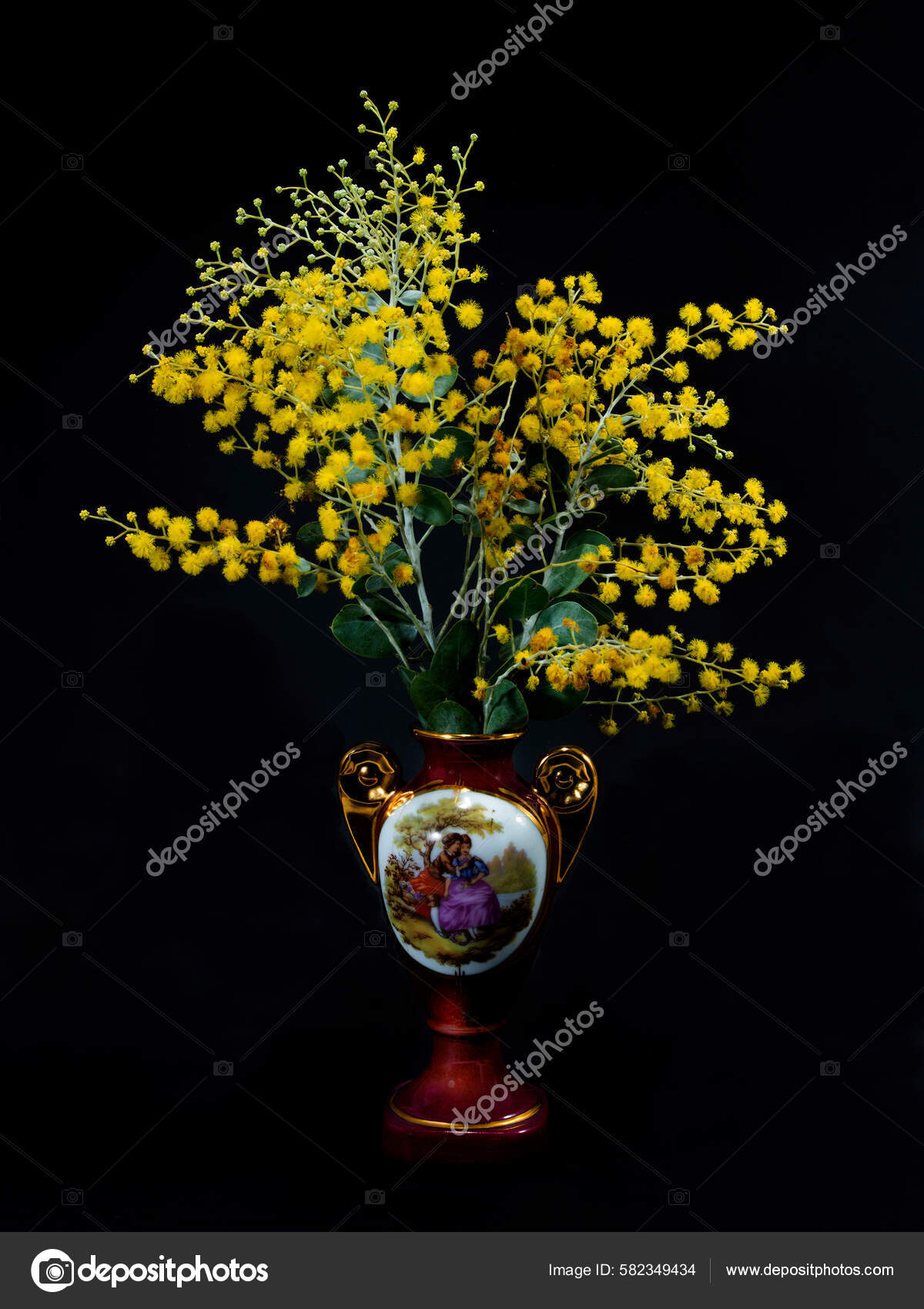 Beautiful Fresh Golden Wattle Aka Mount Morgan Wattle Silver Wattle ...