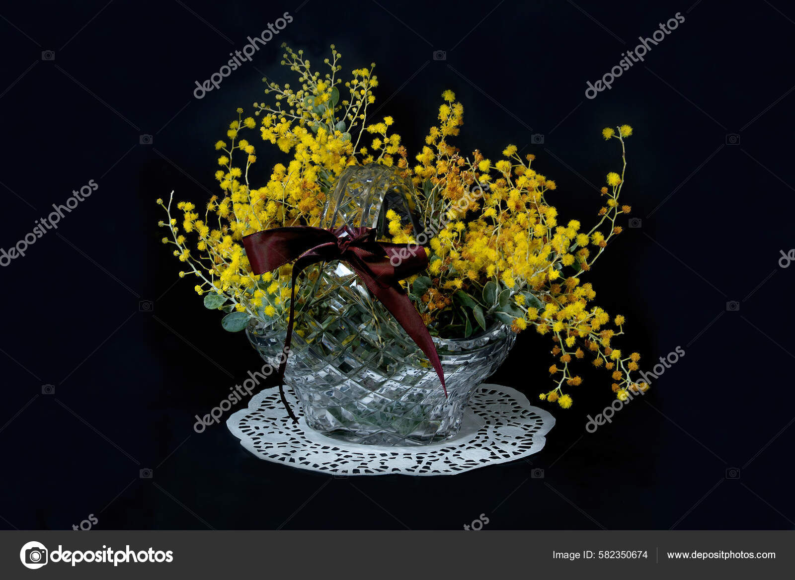Beautiful Fresh Golden Wattle Aka Mount Morgan Wattle Silver Wattle ...