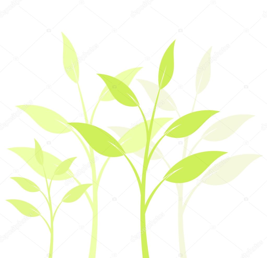 Plants background Stock Vector Image by ©Studiobarcelona #35350943