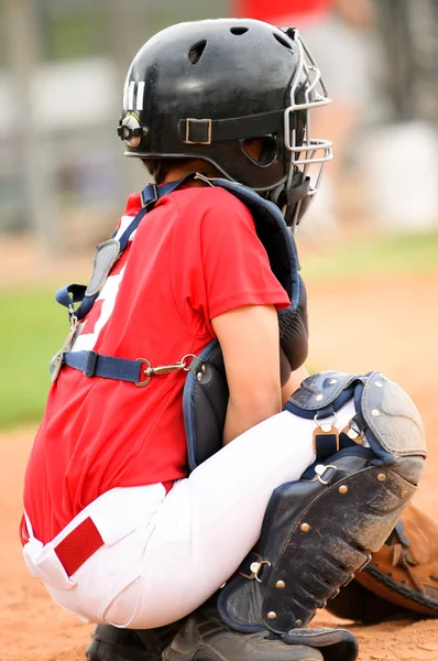 Receptor beisbol Stock Photos, Royalty Free Receptor beisbol Images ...