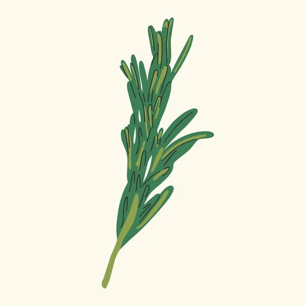 14,489,111 Sea weed Vector Images | Depositphotos