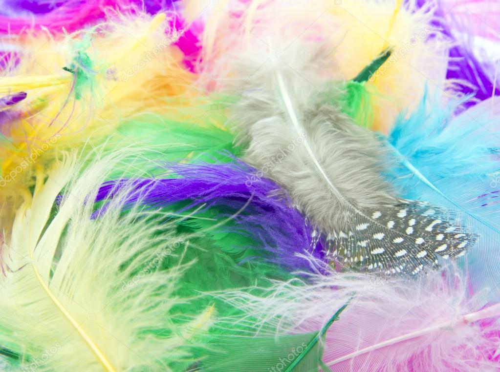 Plumes — Photographie fotyma © #30333503