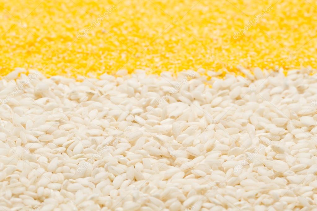 Rice,corn grits — Stock Photo © colors06 #28096487