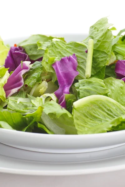 Vegatable Stock Photos, Royalty Free Vegatable Images | Depositphotos®